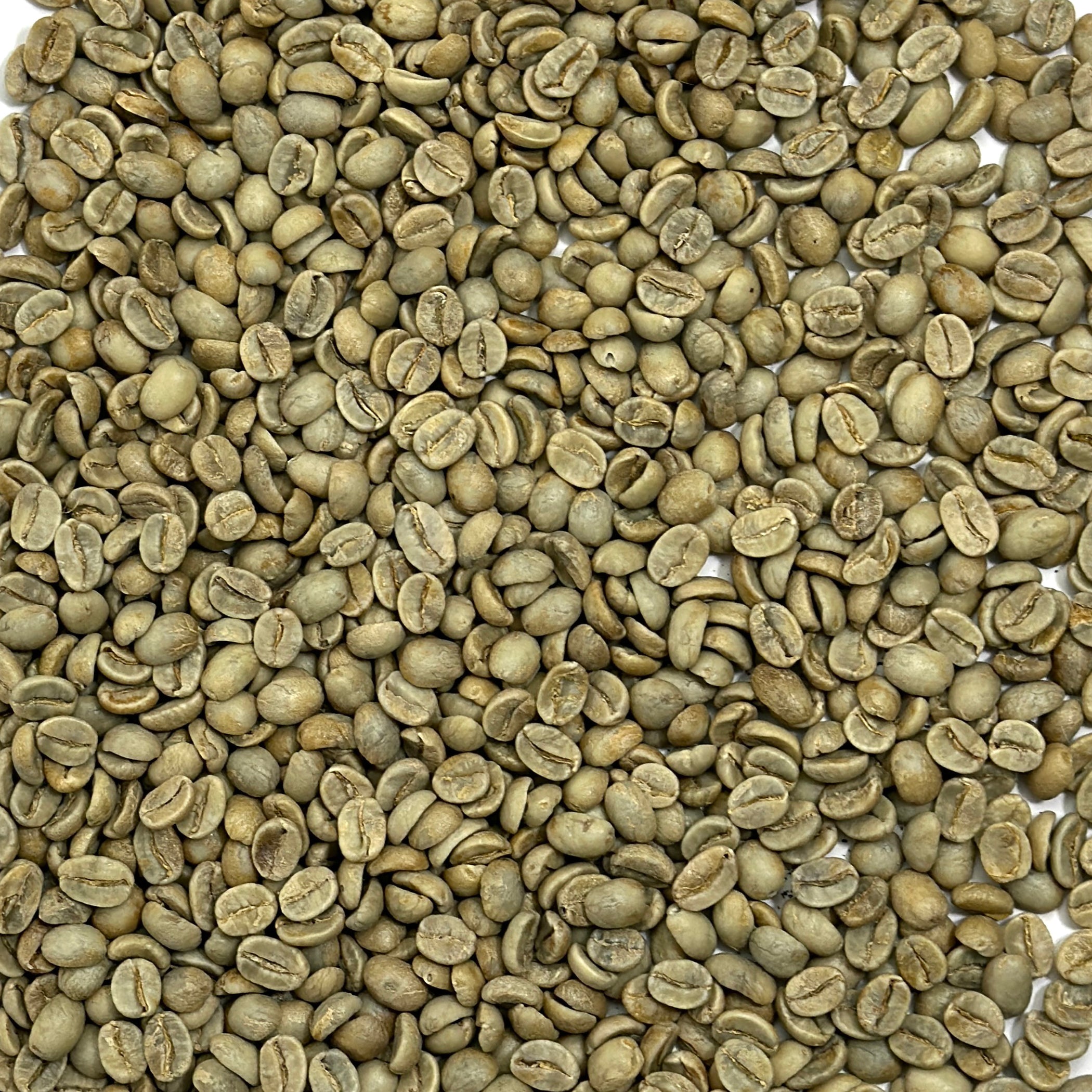 Buy Quality Green Coffee Beans Online – Coffee Bean Corral